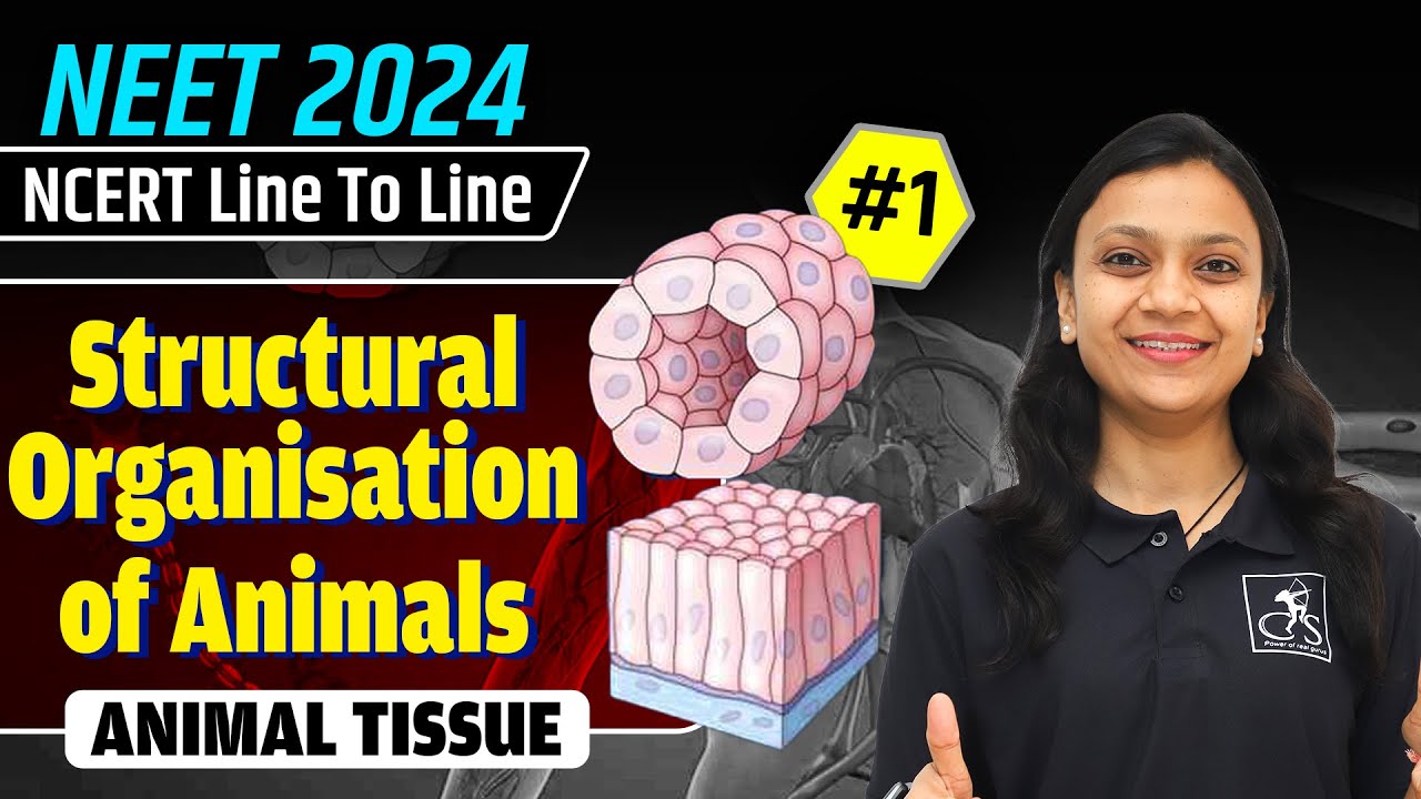 Animal Tissues -1 | Structural Organization in Animals | NCERT line by ...