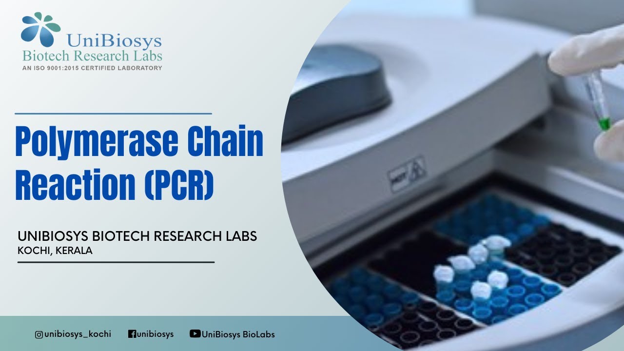 Polymerase Chain Reaction(PCR) | UniBiosys Biotech Research Labs - YouTube