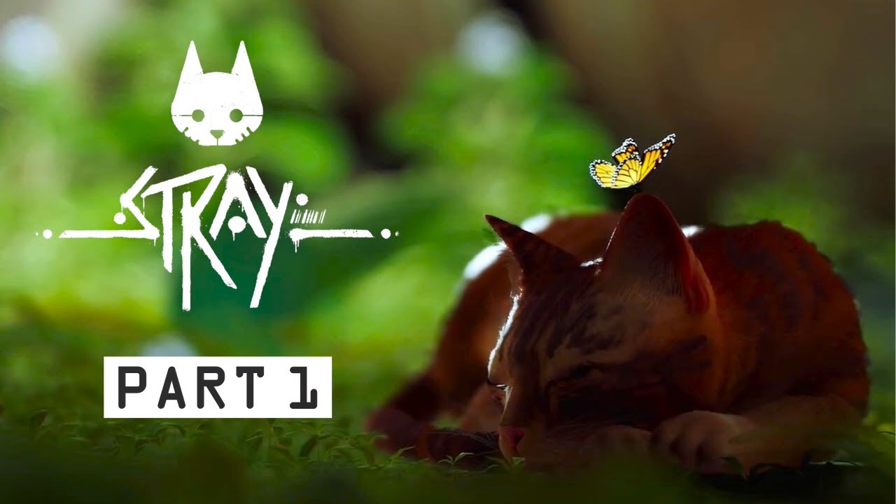 STRAY [First Playthrough] | Part 1 - YouTube