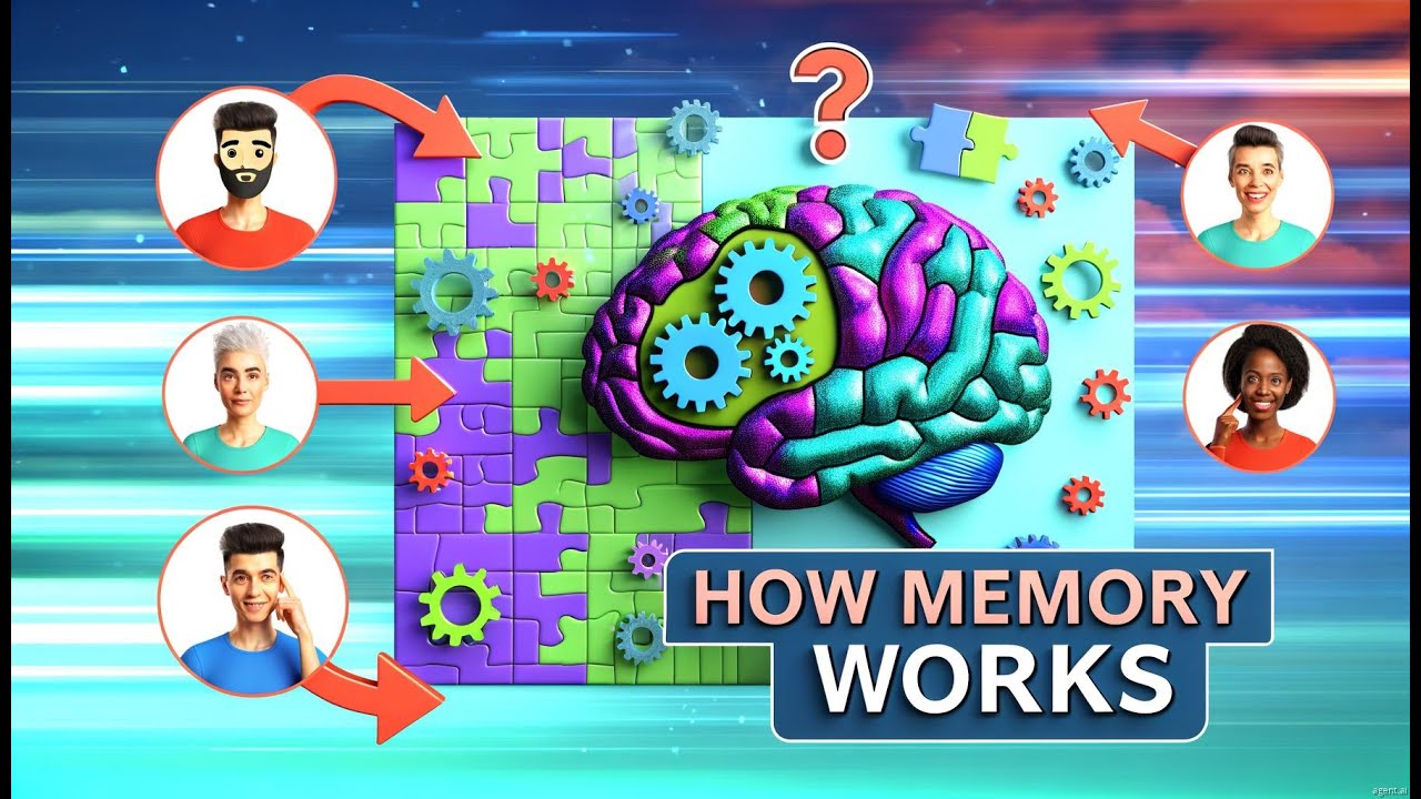 How Memory Works - Human Brain - Neurons - YouTube