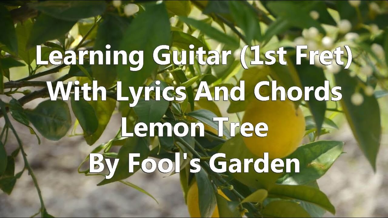 Lemon Tree by Fool's Garden - (1st Fret) Lyrics In Chords - YouTube