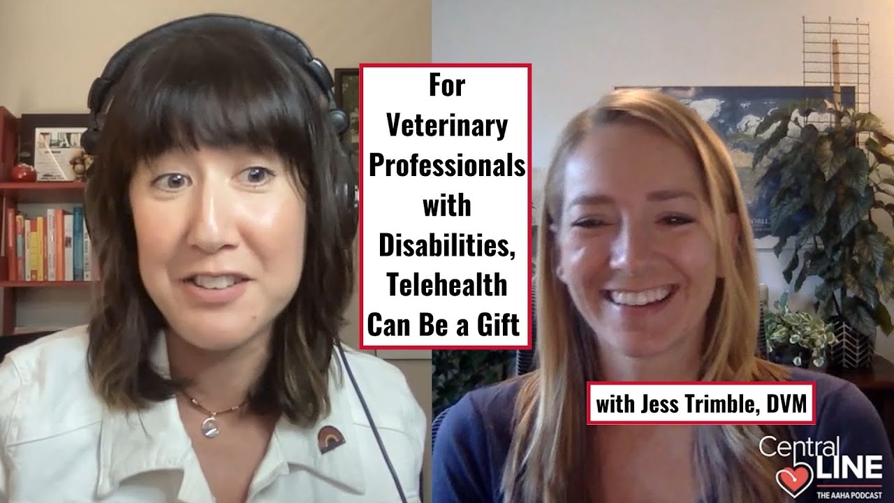 For Veterinary Professionals with Disabilities, Telehealth Can Be a ...