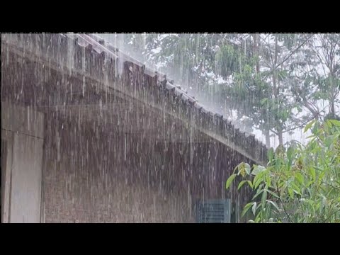 Daha hızlı uykuya dalmak için en iyi yağmur sesleri elveda uykusuzluğa