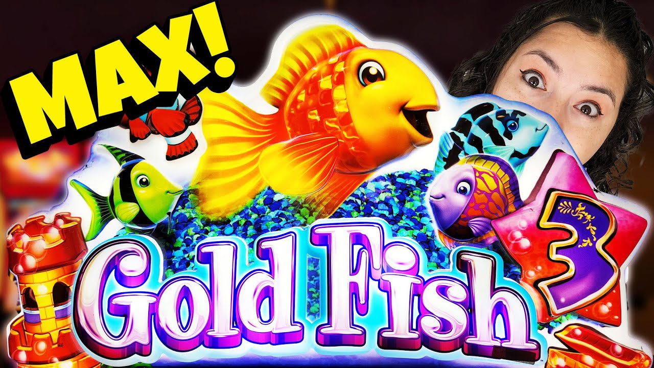 Max Bet on Gold Fish slot machine WORKED! - YouTube