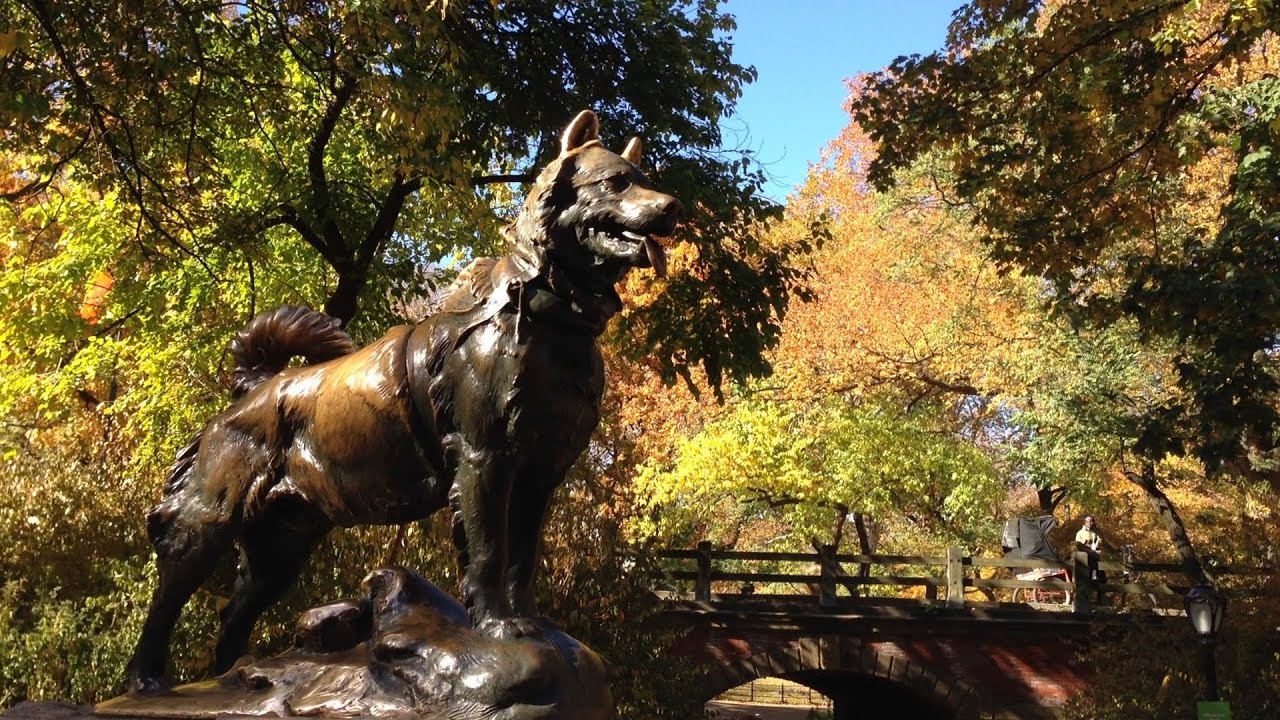 Central Park - Estatua a Balto - Vista General - YouTube