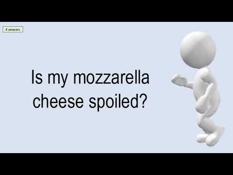 Is My Mozzarella Cheese Spoiled? - YouTube