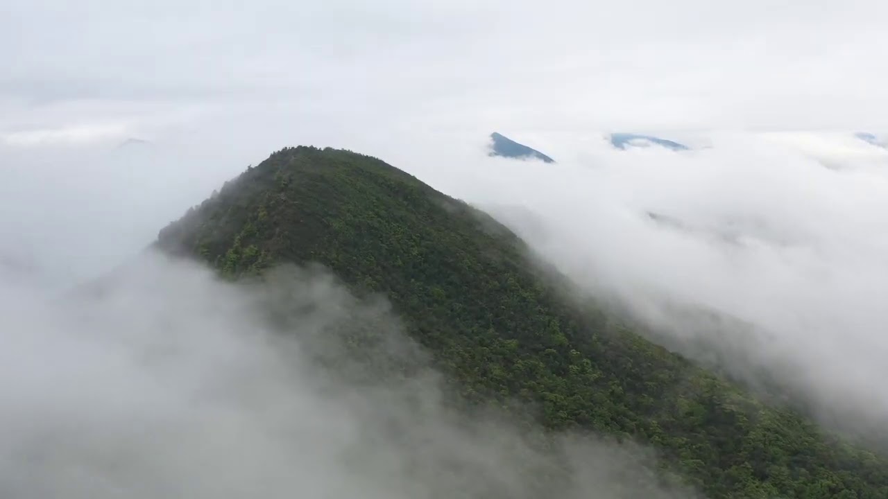 Cool relaxing music 🎶 | Stress buster Rythm | - YouTube