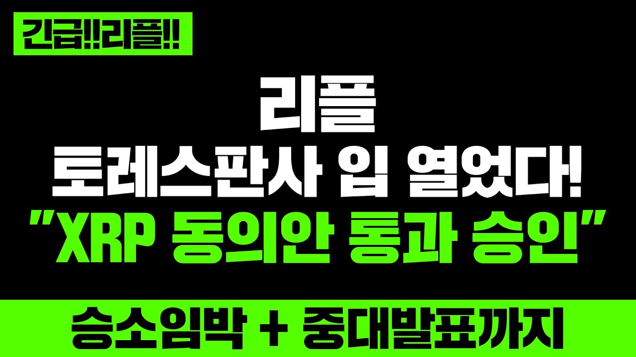 긴급리플 리플 토레스판사 입 열었다 Xrp 동의안 통과 승인 승소임박 중대발표까지 리플 리플전망 리플코인 Youtube