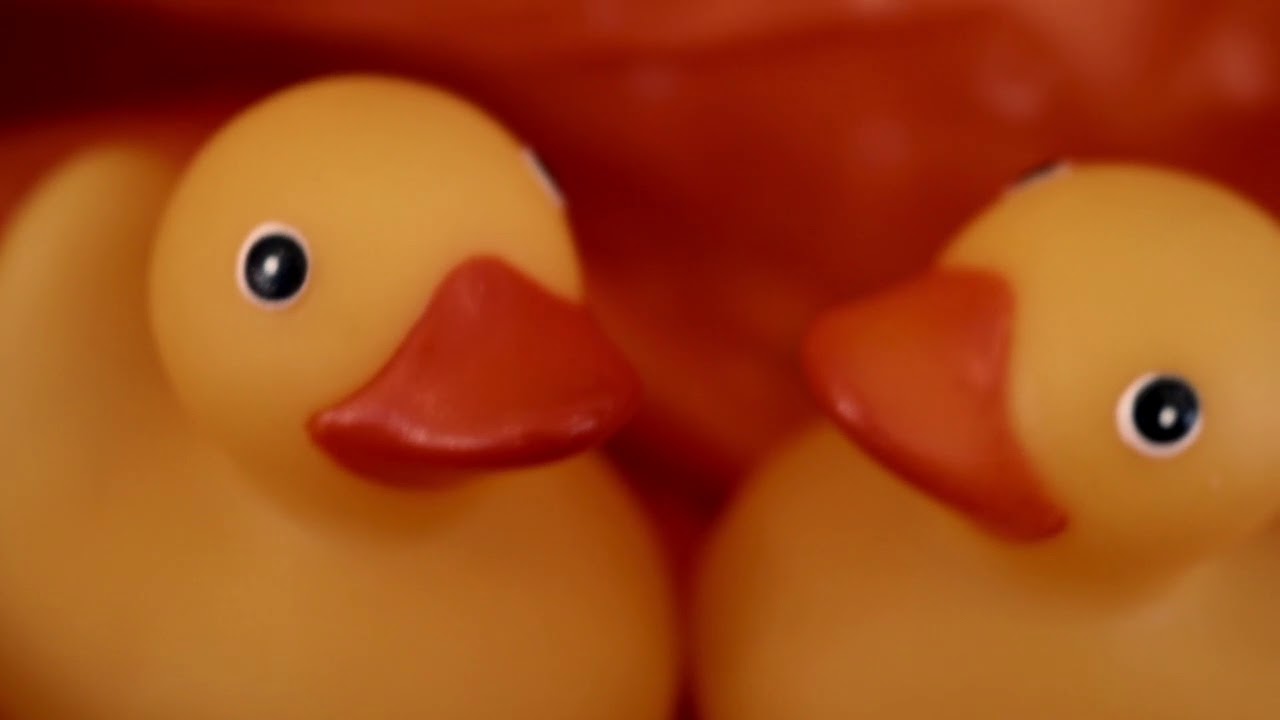 Planet Duck - YouTube