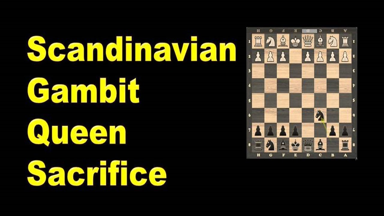 Scandinavian Gambit Queen Sacrifice | Chess Openings | Chess Tricks ...
