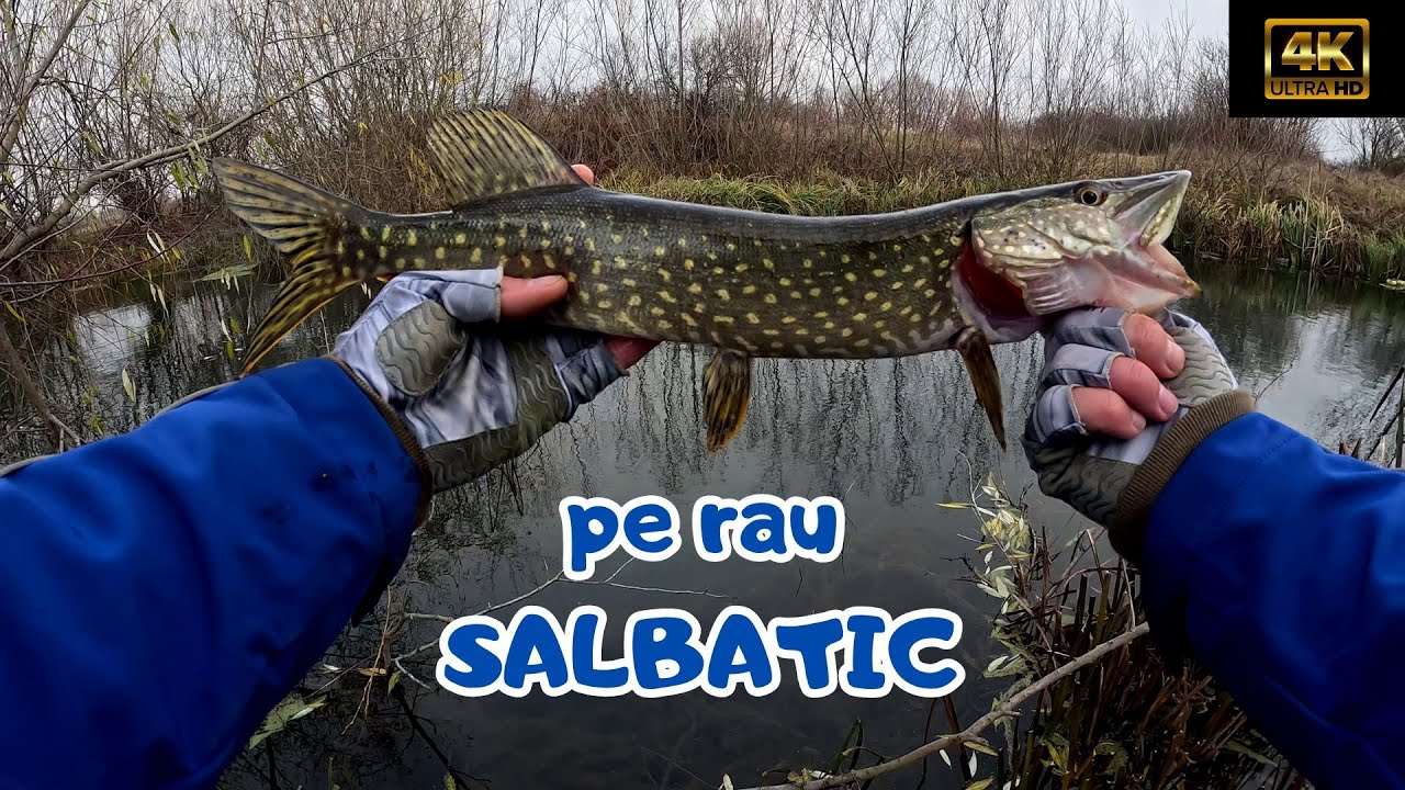 🎣Am PESCUIT pe rau la -2 grade ! NATURA si RELAXARE la spinning pe rau ...