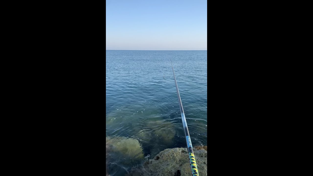 ΨΑΡΕΜΑ ΚΟΥΡΚΟΥΝΑΣ-ΣΚΑΡΟΥ(ΓΕΡΜΑΝΟΙ) Νο 3 - YouTube