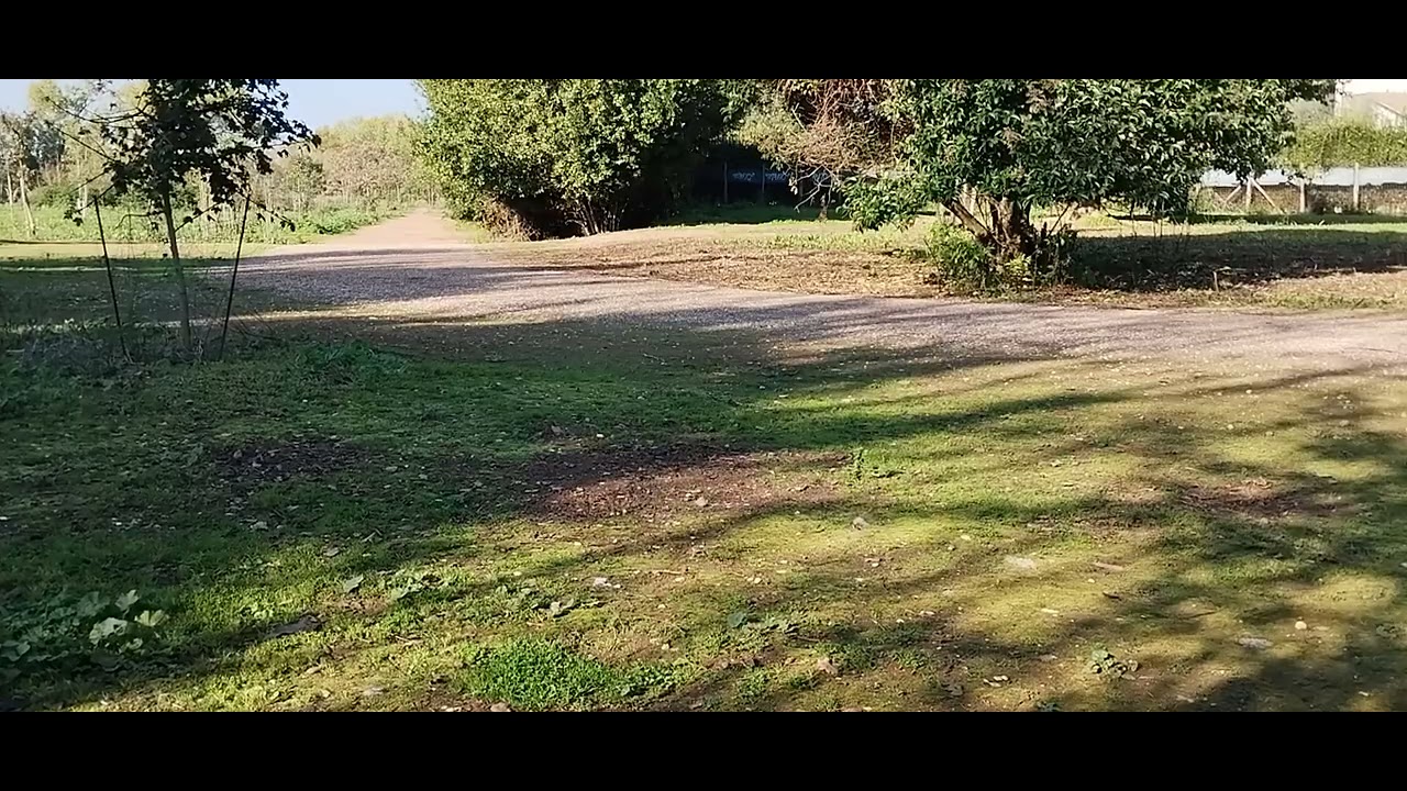 Immortal, Enslaved, Satyricon (black metal norvegese degli anni 90 ...