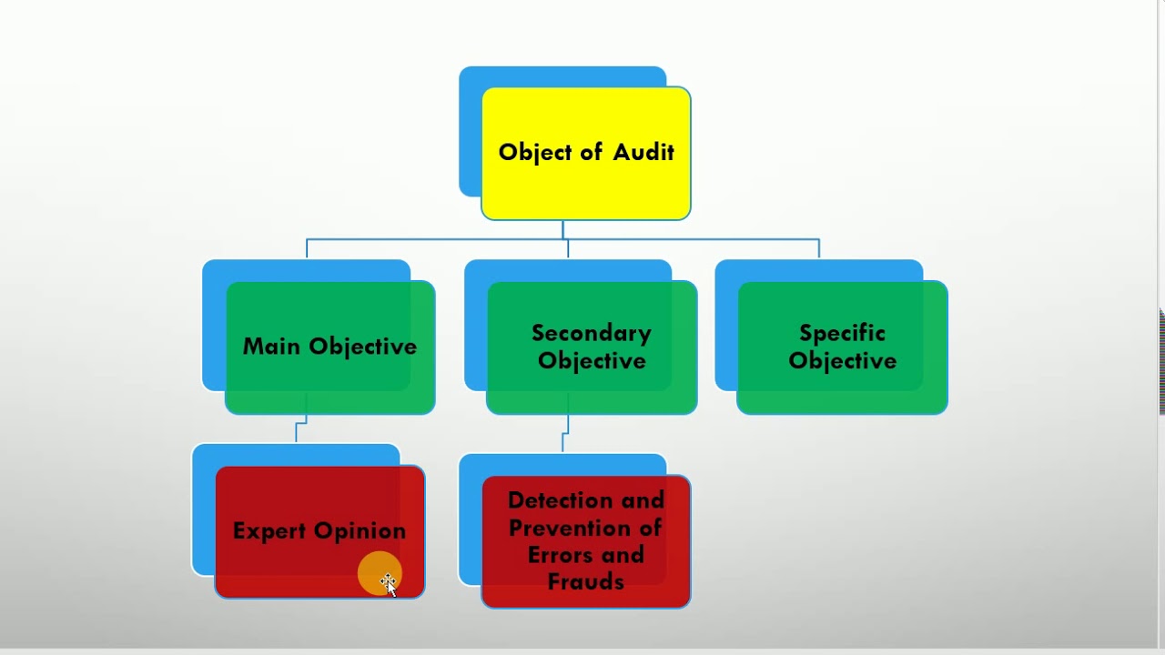 TY_Object of Audit - YouTube