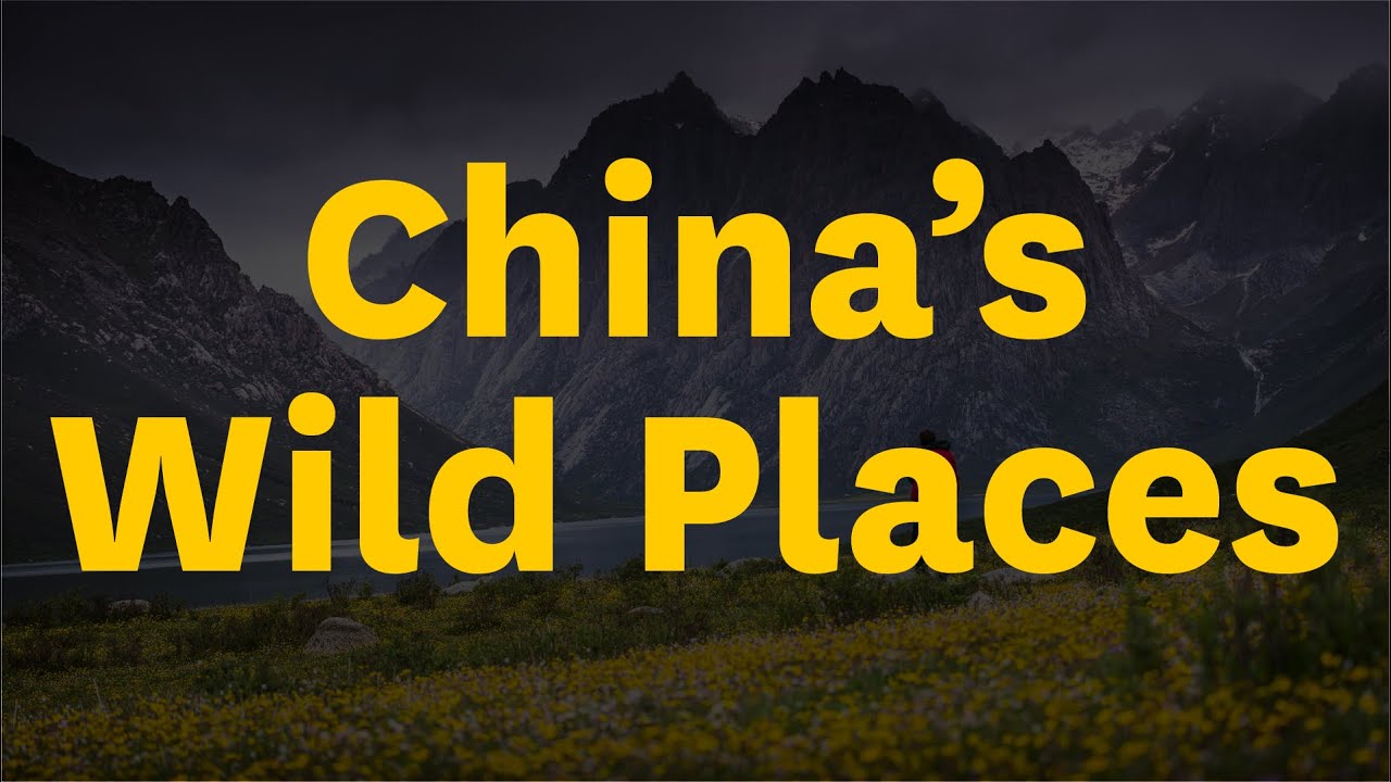 Kyle Obermann Talks About His Work Documenting China's Wild Life - YouTube