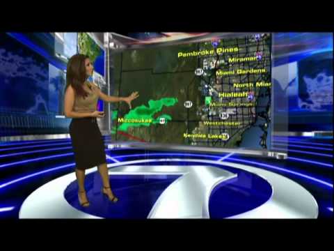 WSVN Weather Vivian Gonzalez cute dress - YouTube