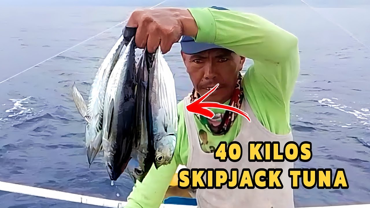 CATCHING 40 KILOS SKIPJACK TUNA | HANDLINE FISHING TECHNIQUE - YouTube