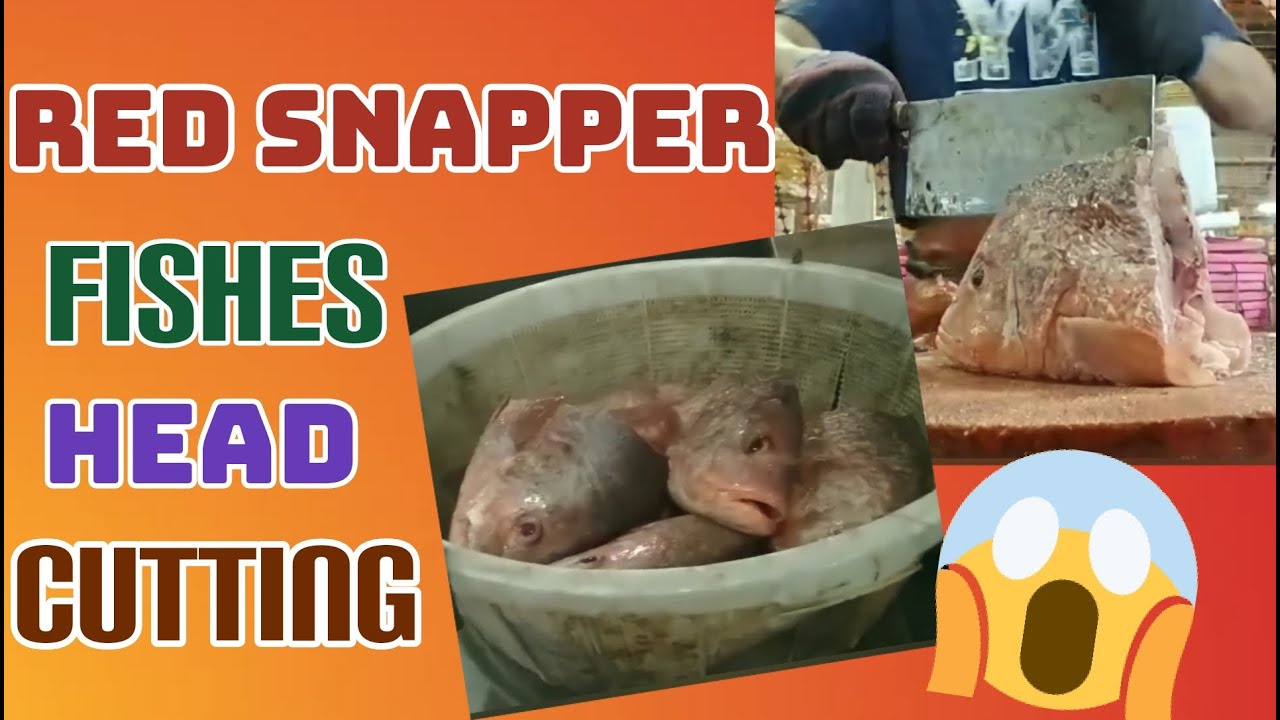 SCALING AND CUTTING RED SNAPPER'S FISH HEAD - YouTube
