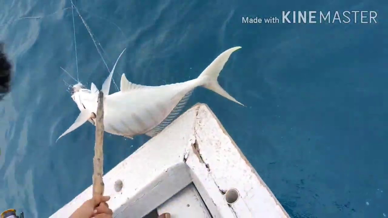 Wisata mancing Pulo tunda - YouTube