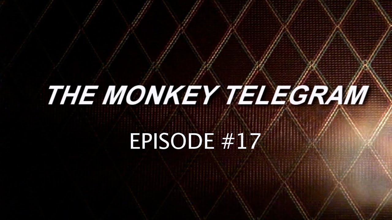 THE MONKEY TELEGRAM Episode #17 // Disgust & Creative Urge // One Man ...