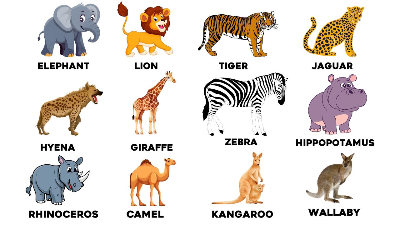 Animal Drawing For Kids with Colour | Drawing For Children | Learning ...