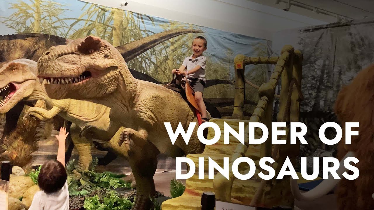 Wonder of Dinosaurs - Children's Activity Center with Dinosaur Exhibits ...