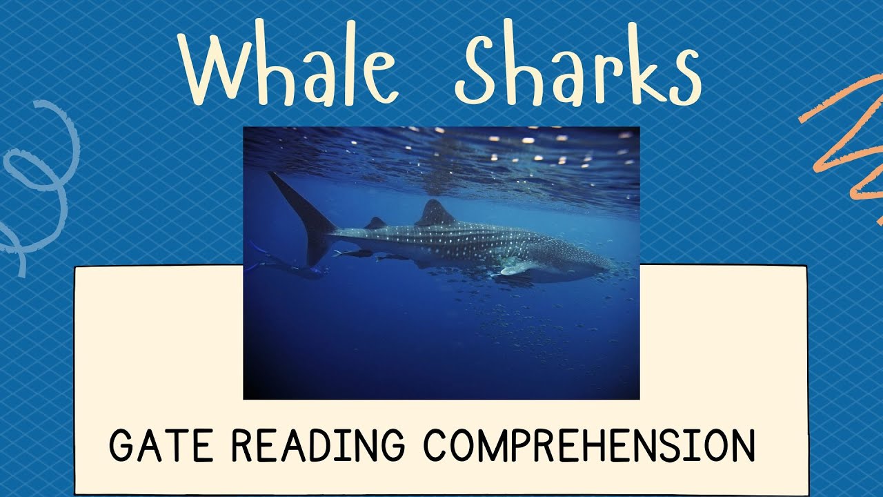 Whale Sharks - Year 5/6 Gifted and Talented Test Preparation - Reading ...