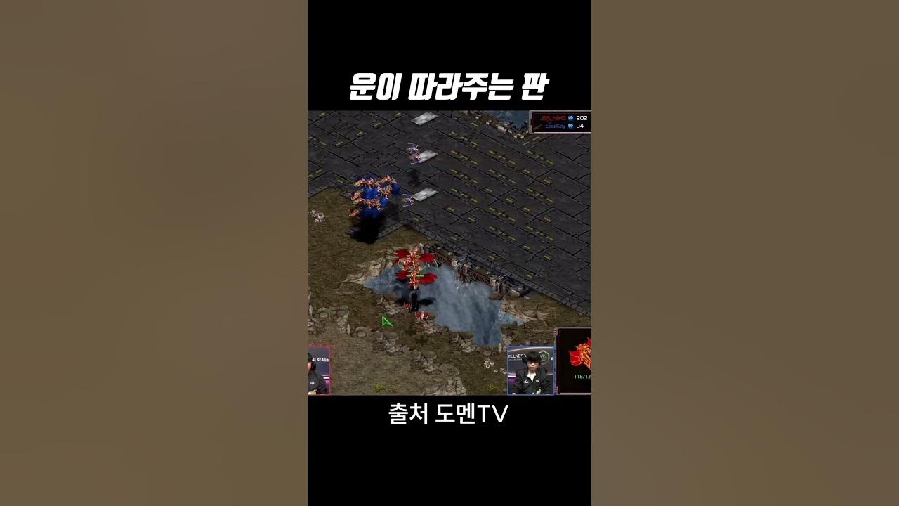 와 운이 이렇게 따라주네 스타크래프트 저그 저저전 스타shorts Youtube