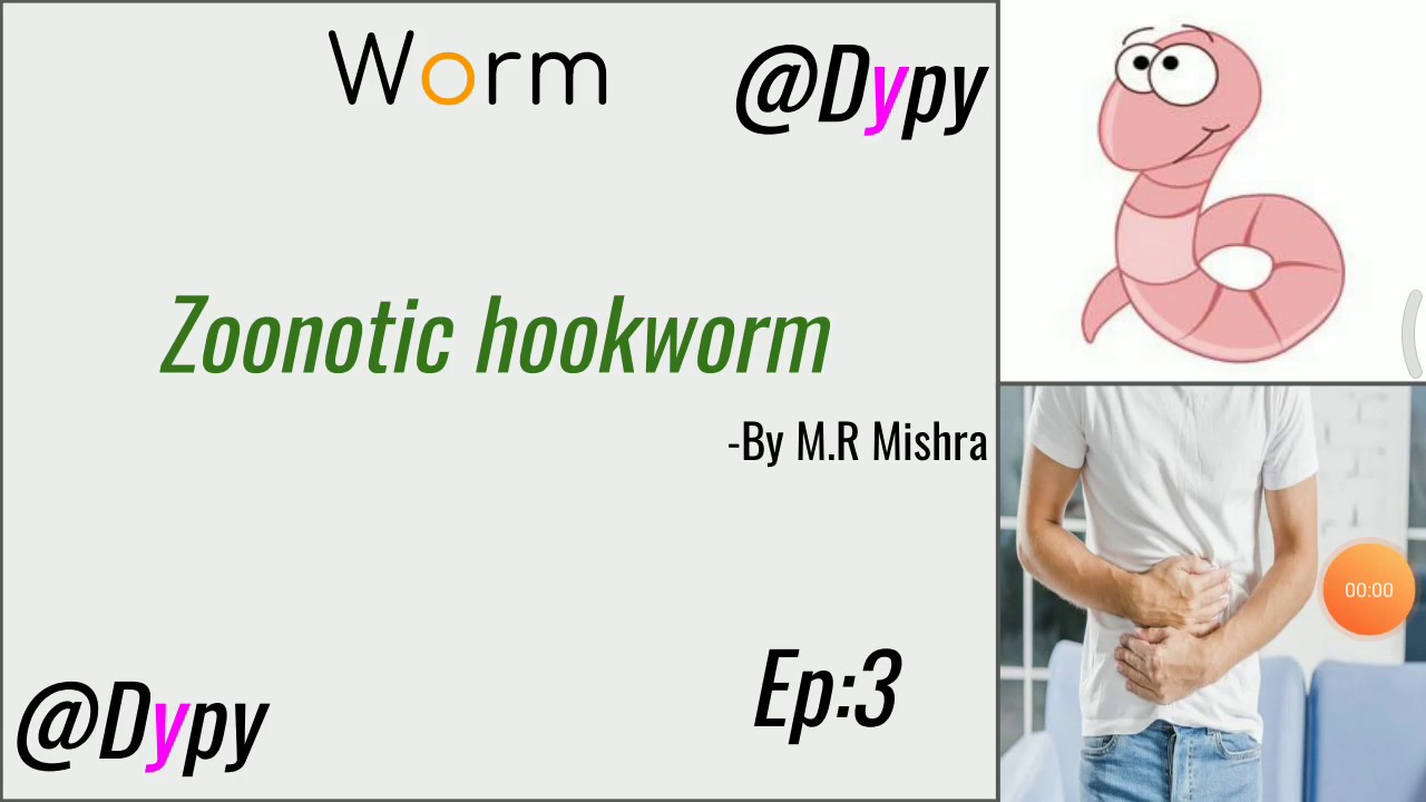 Zoonotic hookworm-Worm Part-3 - YouTube