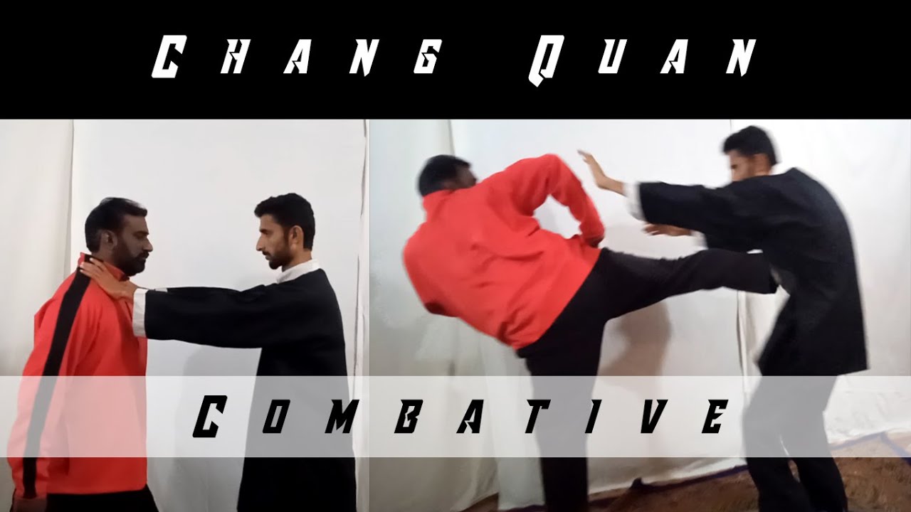 Chang Quan Combative Basic Form: 3 | Lets Explore The Real Martial Arts ...