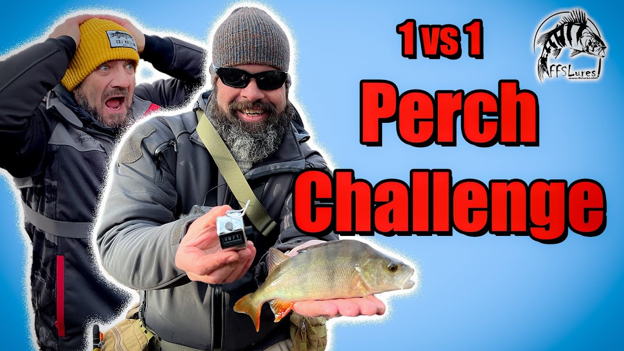 PERCH fishing CHALLENGE - 1vs1 WASPING!! - YouTube