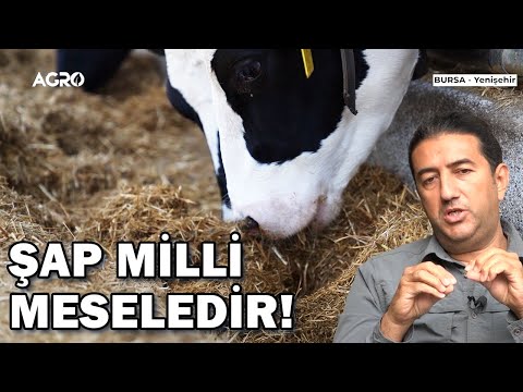 Şap Milli Meseledir! Şapla Mücadele Nasıl Olmalı? / Abi Nerdesin?