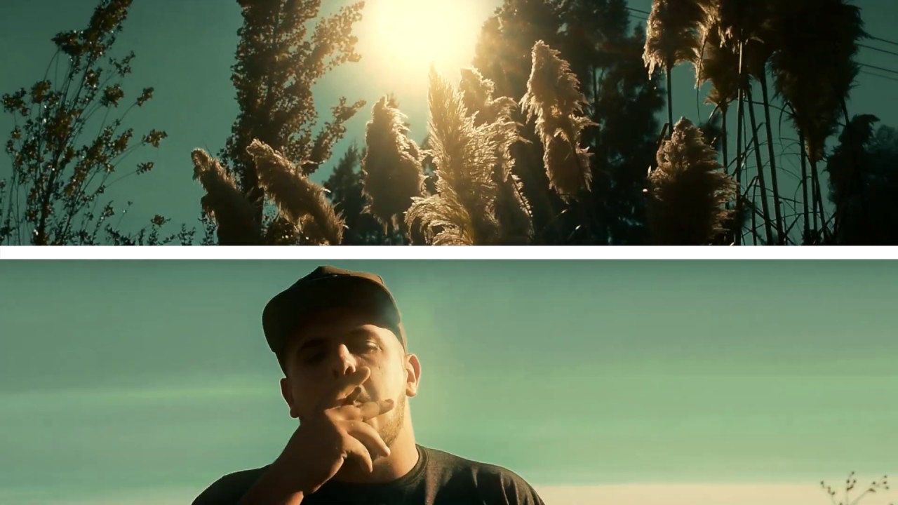 Grizzly x Rehab Records - Malafama [Video Oficial] - YouTube