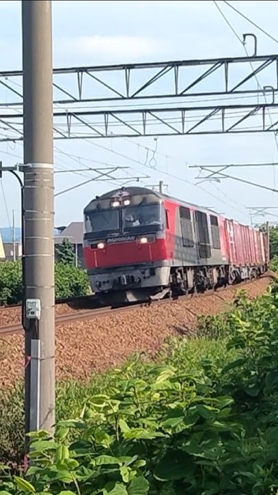 暑い夏の函館本線南8丁目を通過する貨物列車DF200-61号機。 #jr北海道 #函館本線 #df200 #貨物列車 - YouTube