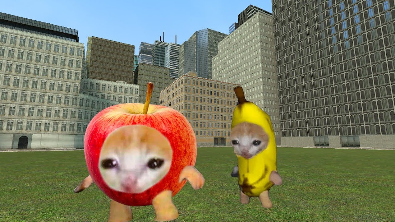 Apple Cat And Banana Cat - YouTube