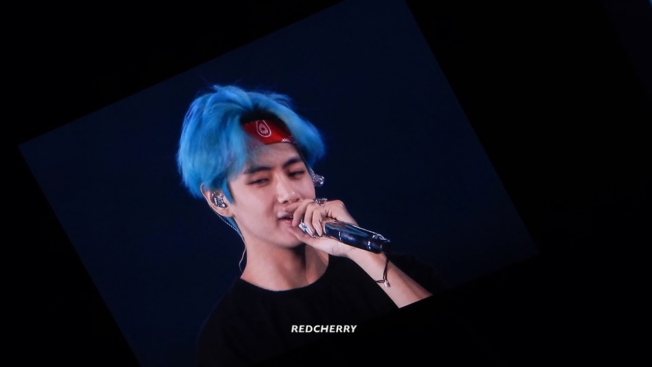 [190113] BTS LYS Tour in Nagoya D2 - Talking 태형 직캠 / V Focus - YouTube