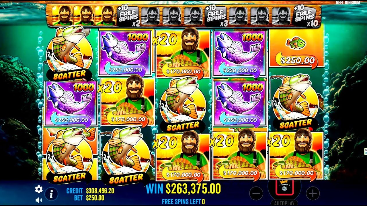 BİG BASS BONANZA 1000 5X SCATTER BONUS 50 FREE SPİN BEST PROFİT ? WİN ...