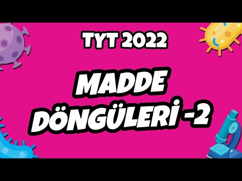 TYT Biyoloji - Madde Döngüleri -2 | TYT Biyoloji 2022 #hedefekoş