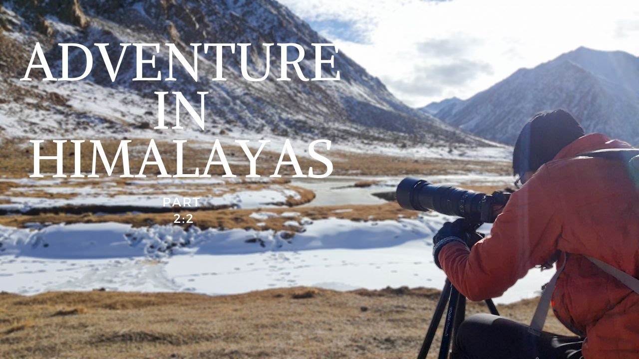 7 DAY ADVENTURE IN HIMALAYAN MOUNTAINS 2:2 || Wildlife of himalayas ...