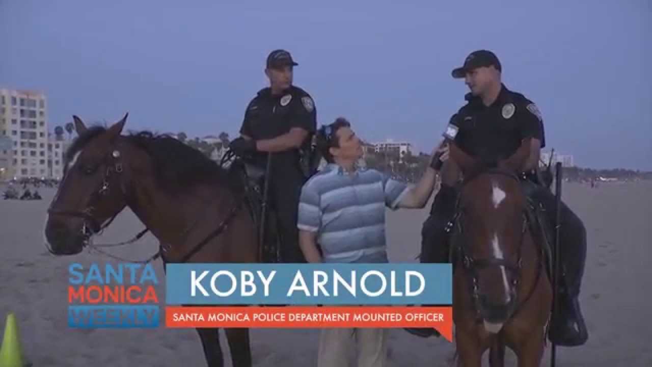 Santa Monica Mounted Police - YouTube