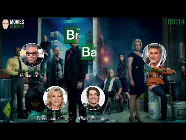 Breaking Bad Season 4 Cast