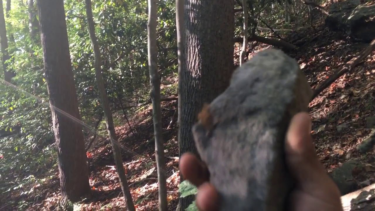 a gift of bones - YouTube