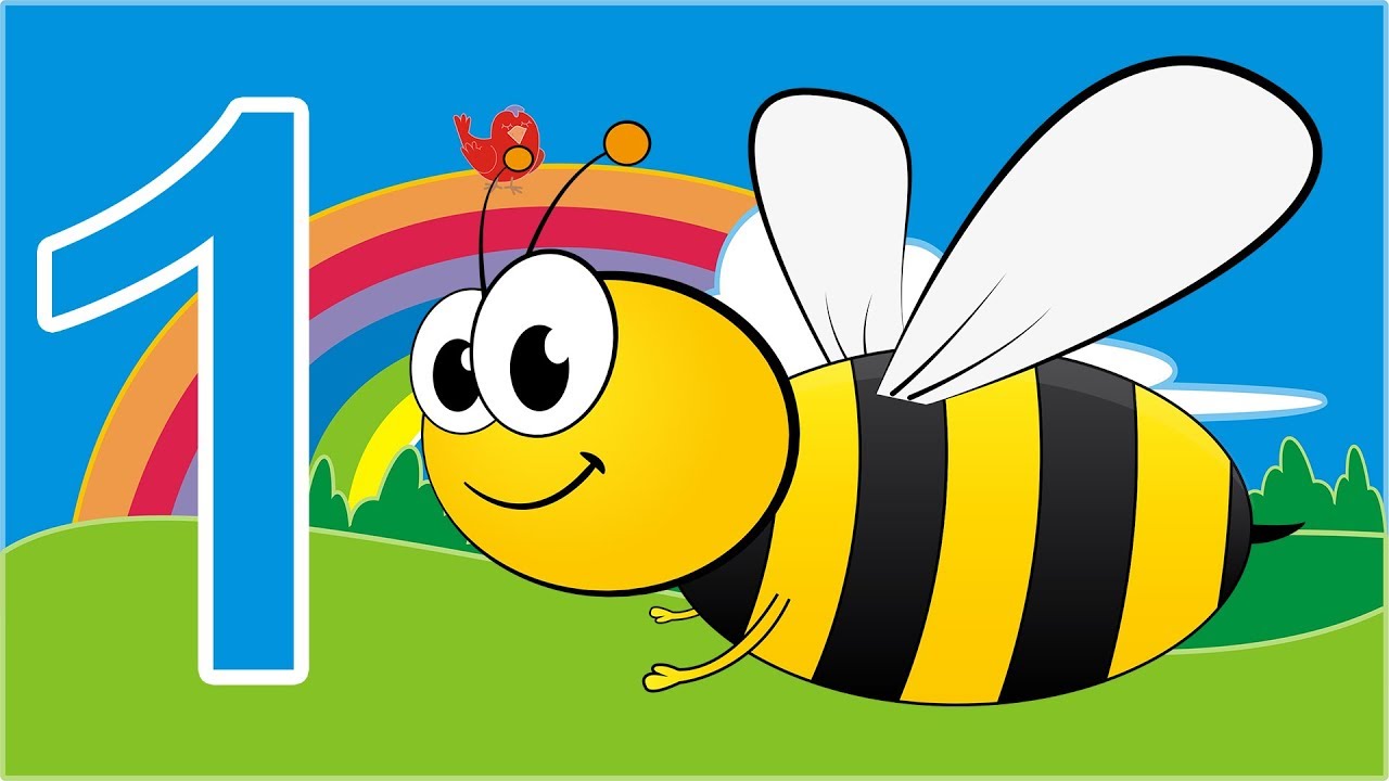 Learn the numbers Bee animation - YouTube