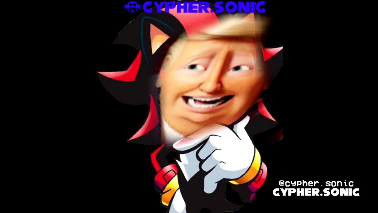 Shadow the Hedgehog is Donald Trump Confirmed - YouTube