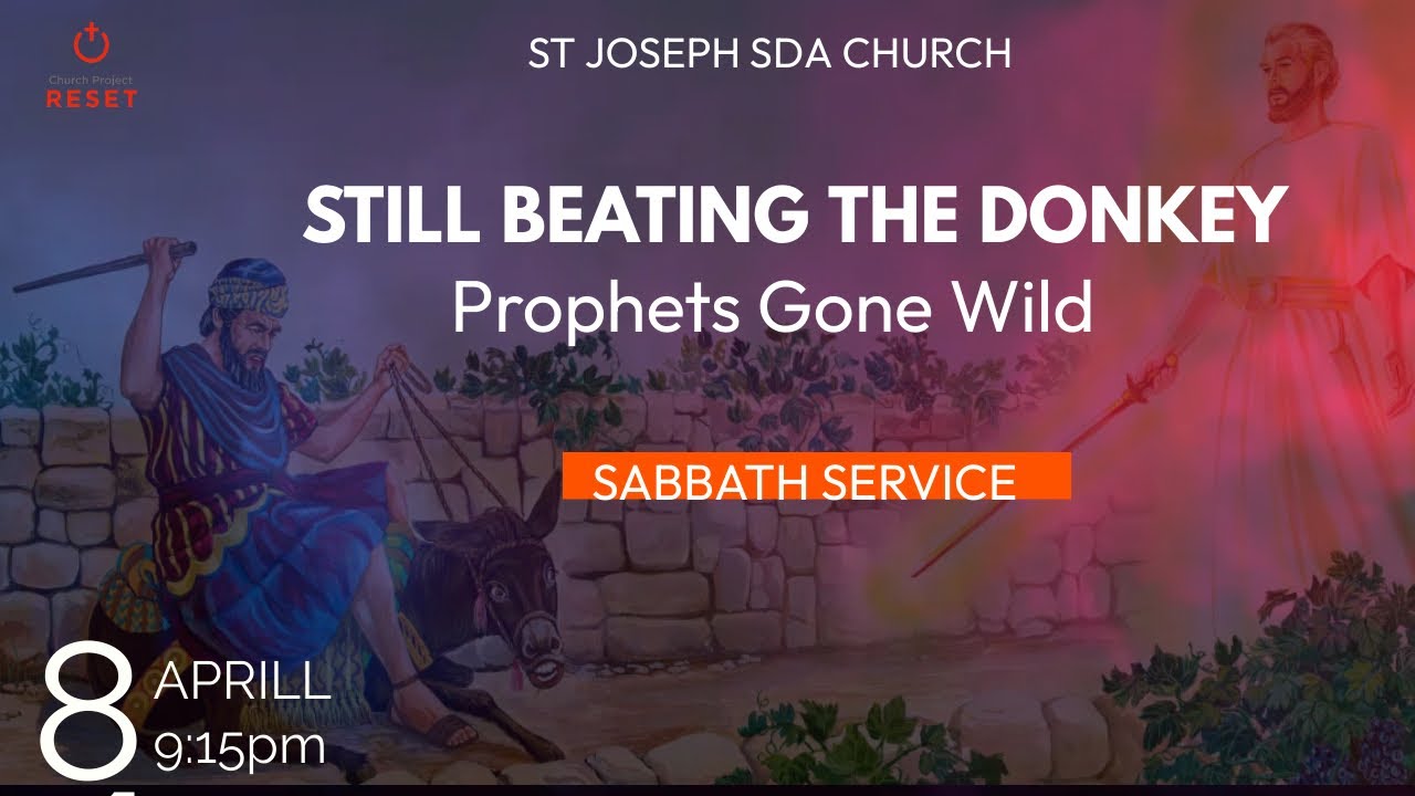 STILL BEATING THE DONKEY - YouTube