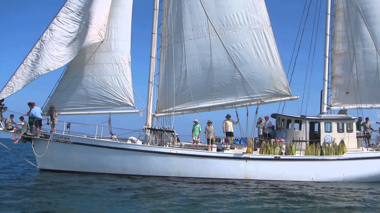 Troop 53 sailing Ciganka solo - YouTube