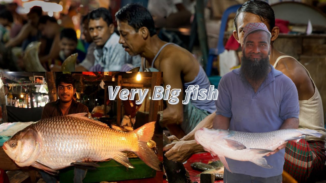 A huge fish has been cut - This is the first such big fish in ...