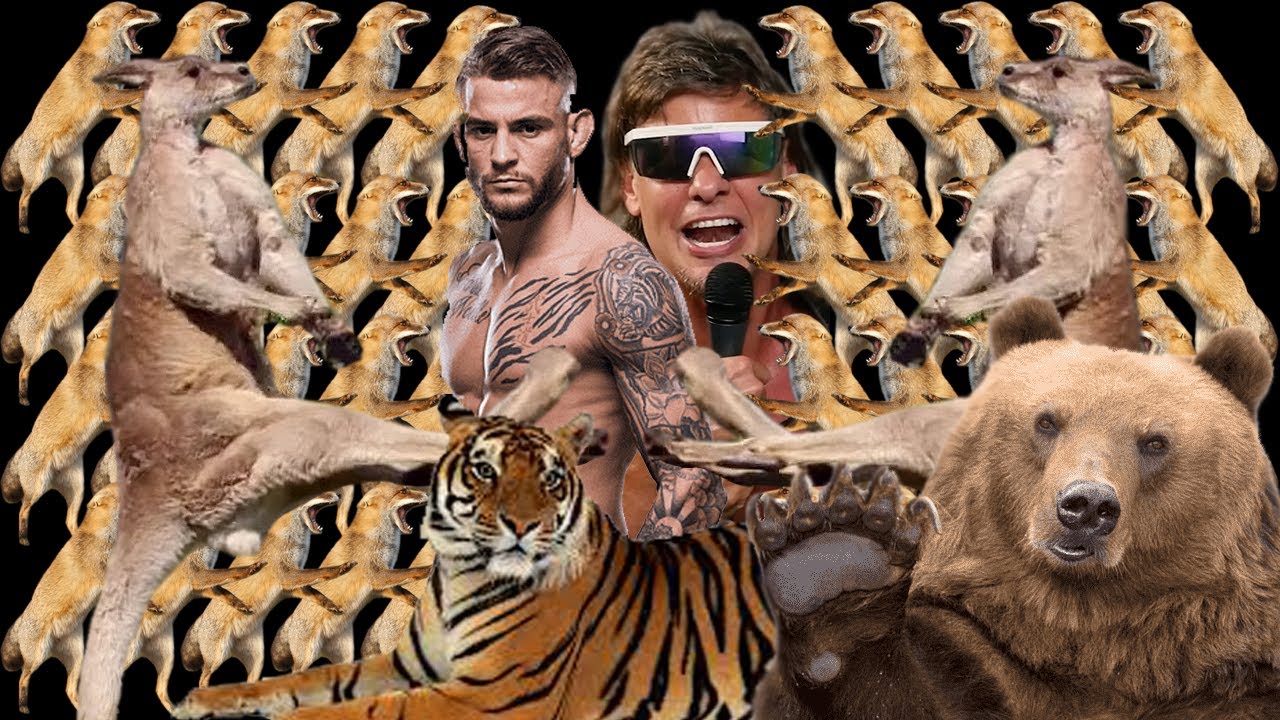 When Men Fight Animals - YouTube