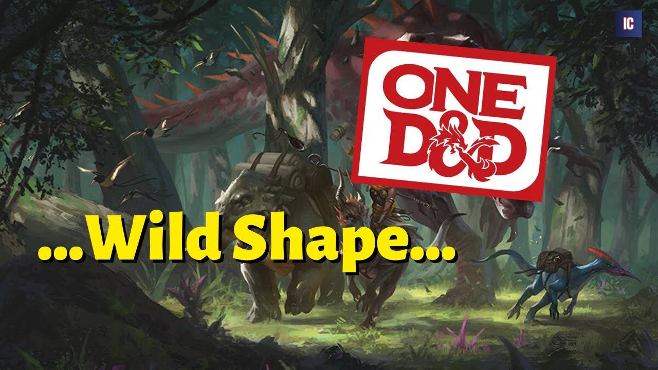 Let's TALK about Wild Shape in One D&D #dnd #onednd - YouTube