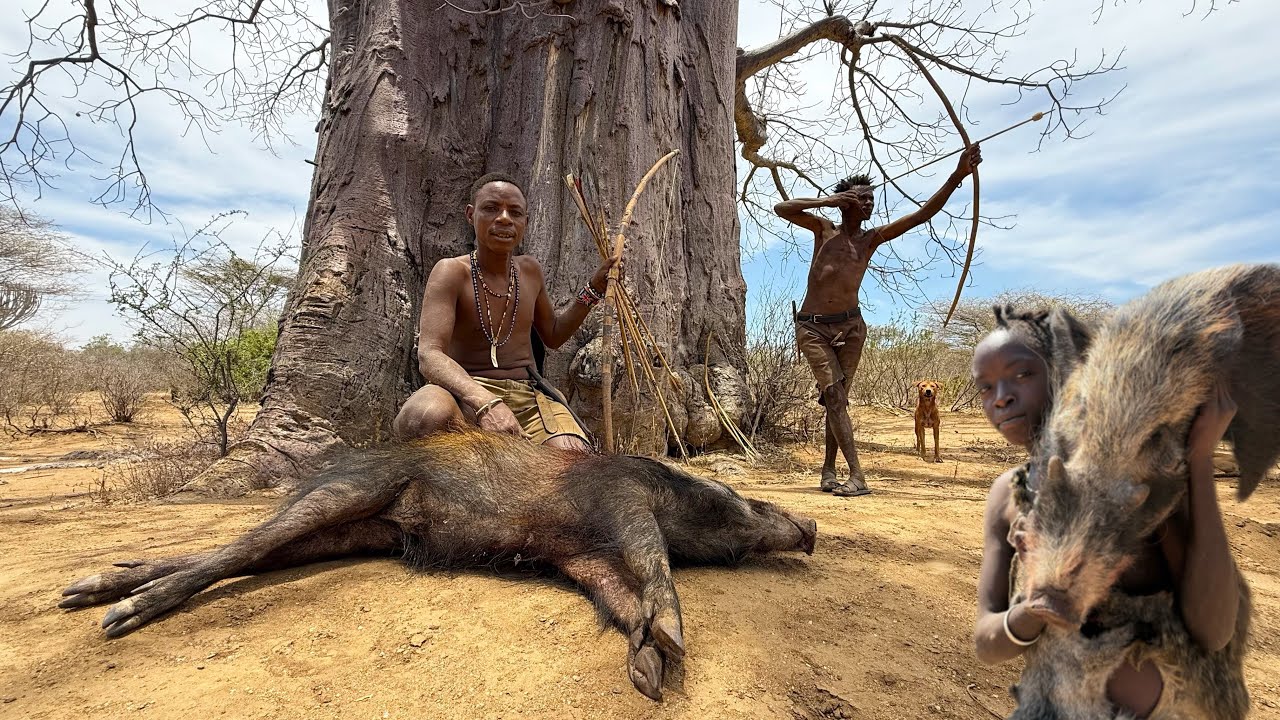 UNBELIEVABLE Bush Pig Hunt | life of hunters - YouTube